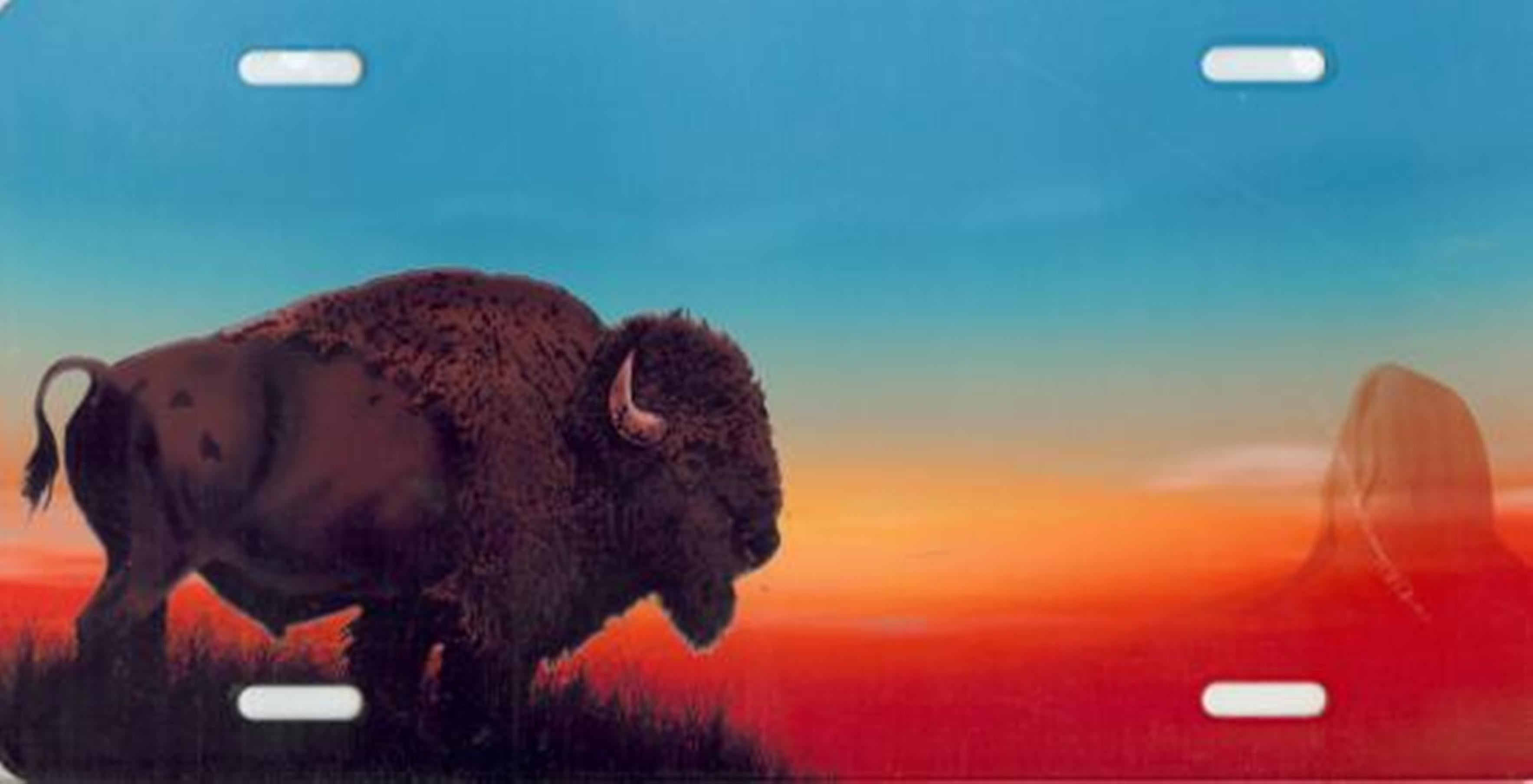 Bison with Sunset License Plate – Auto License Plates Frames
