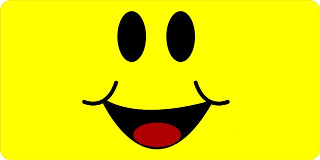 Smiley Face Photo License Plate – Auto License Plates Frames