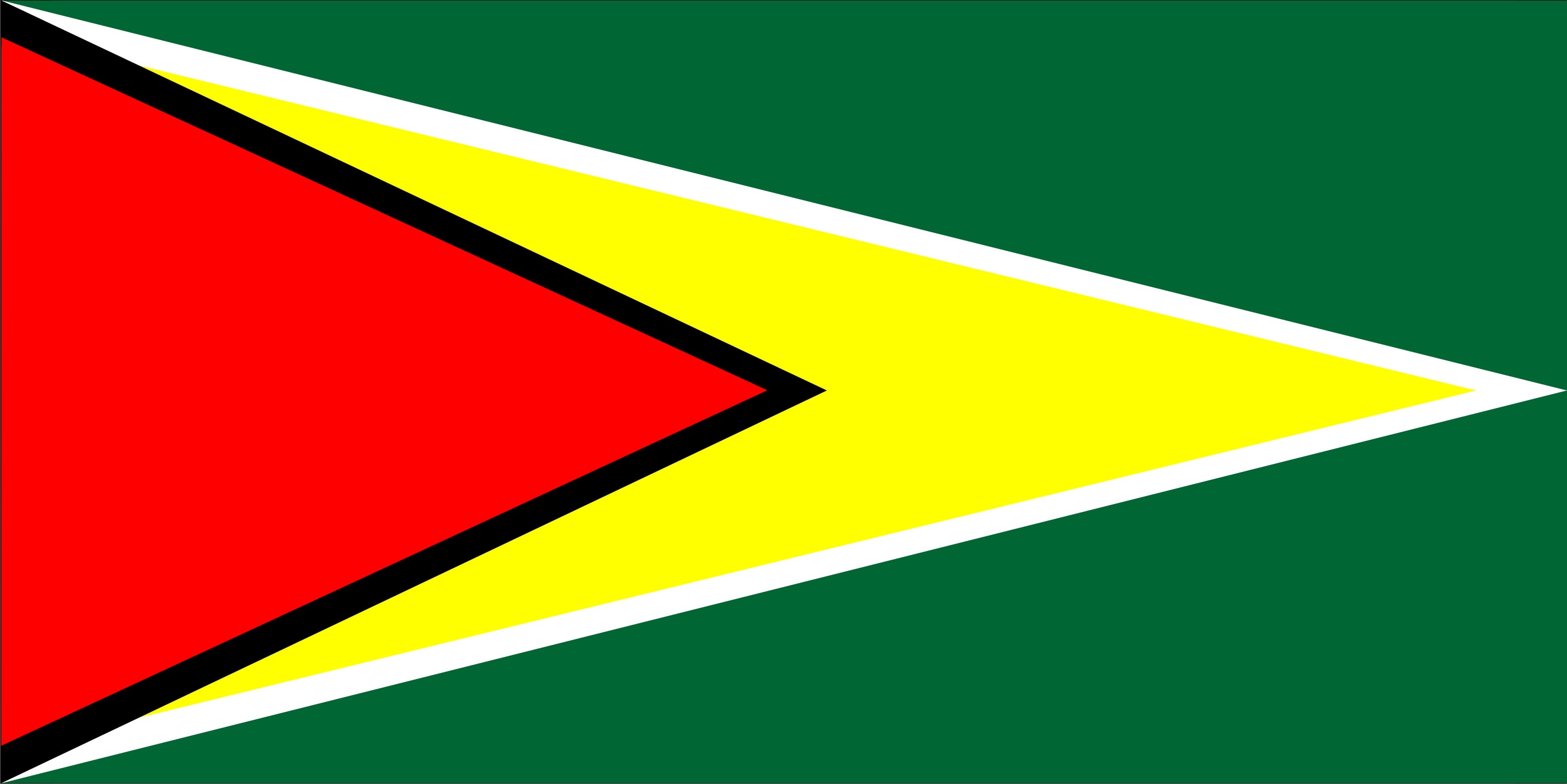 Guyana Flag Photo License Plate – Auto License Plates Frames