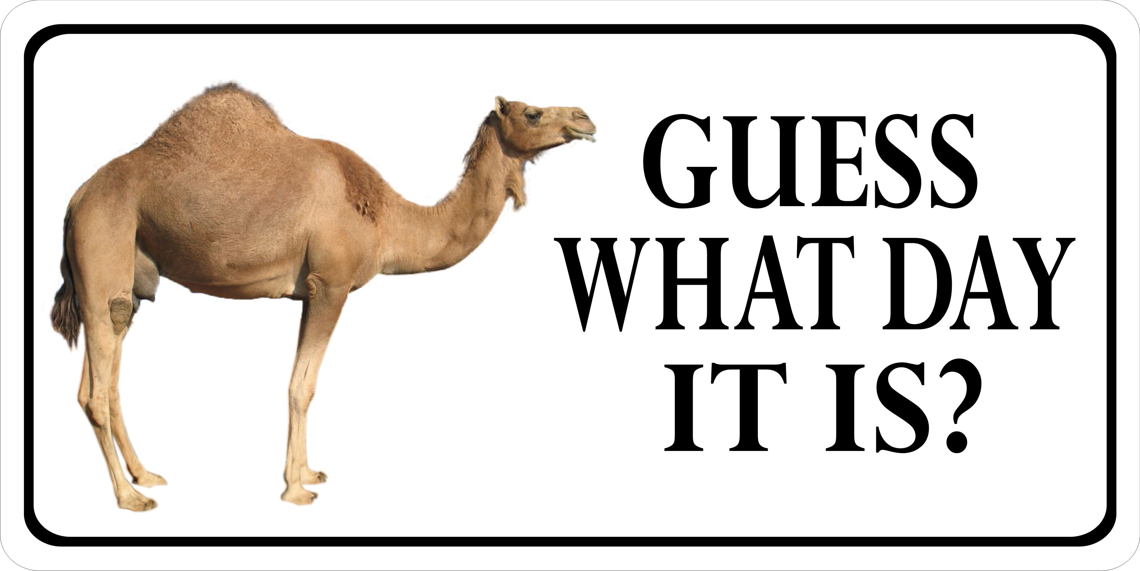 Guess What Day It Is? Photo License Plate – Auto License Plates Frames
