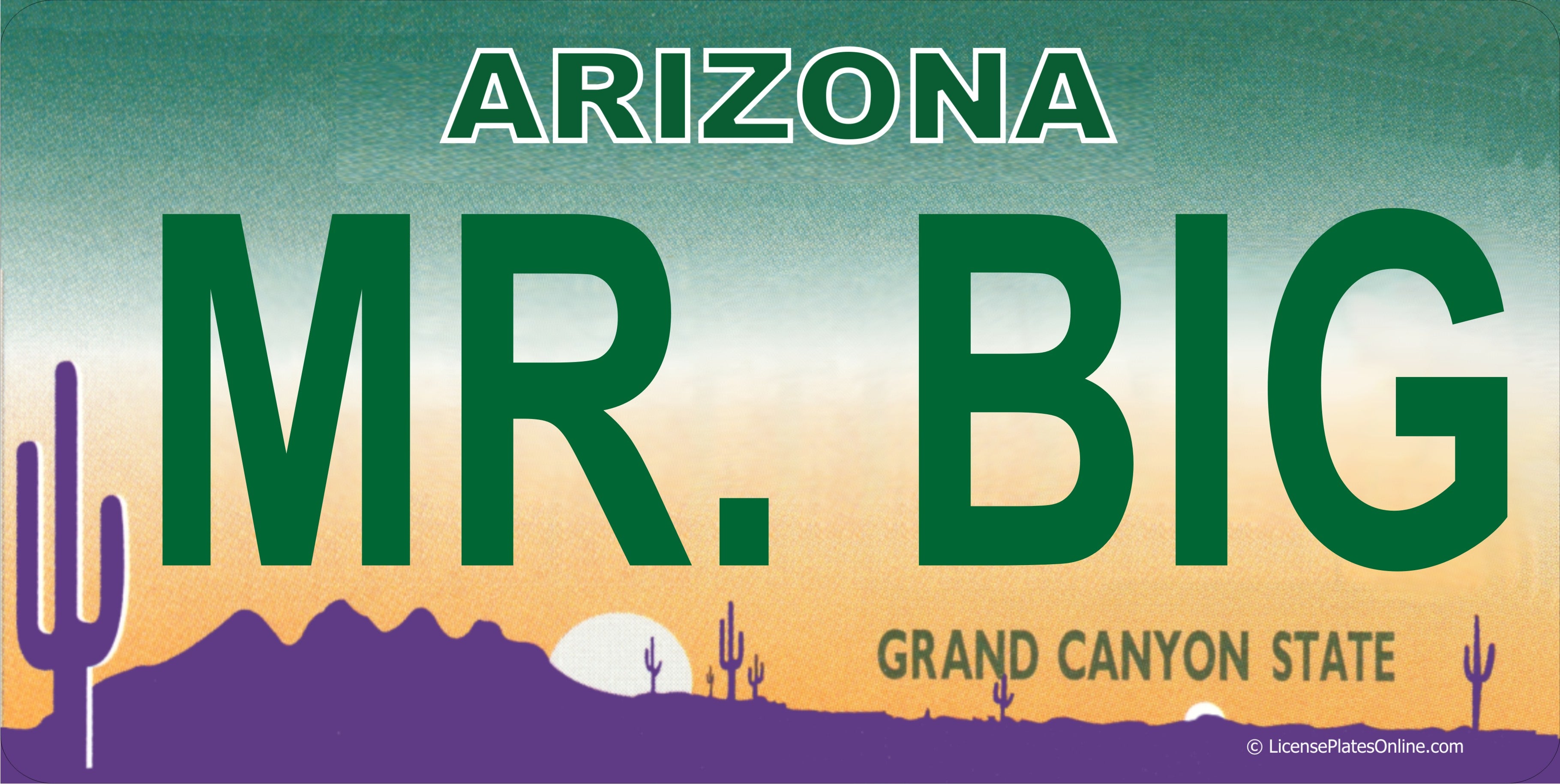Arizona MR. BIG Photo License Plate – Auto License Plates Frames