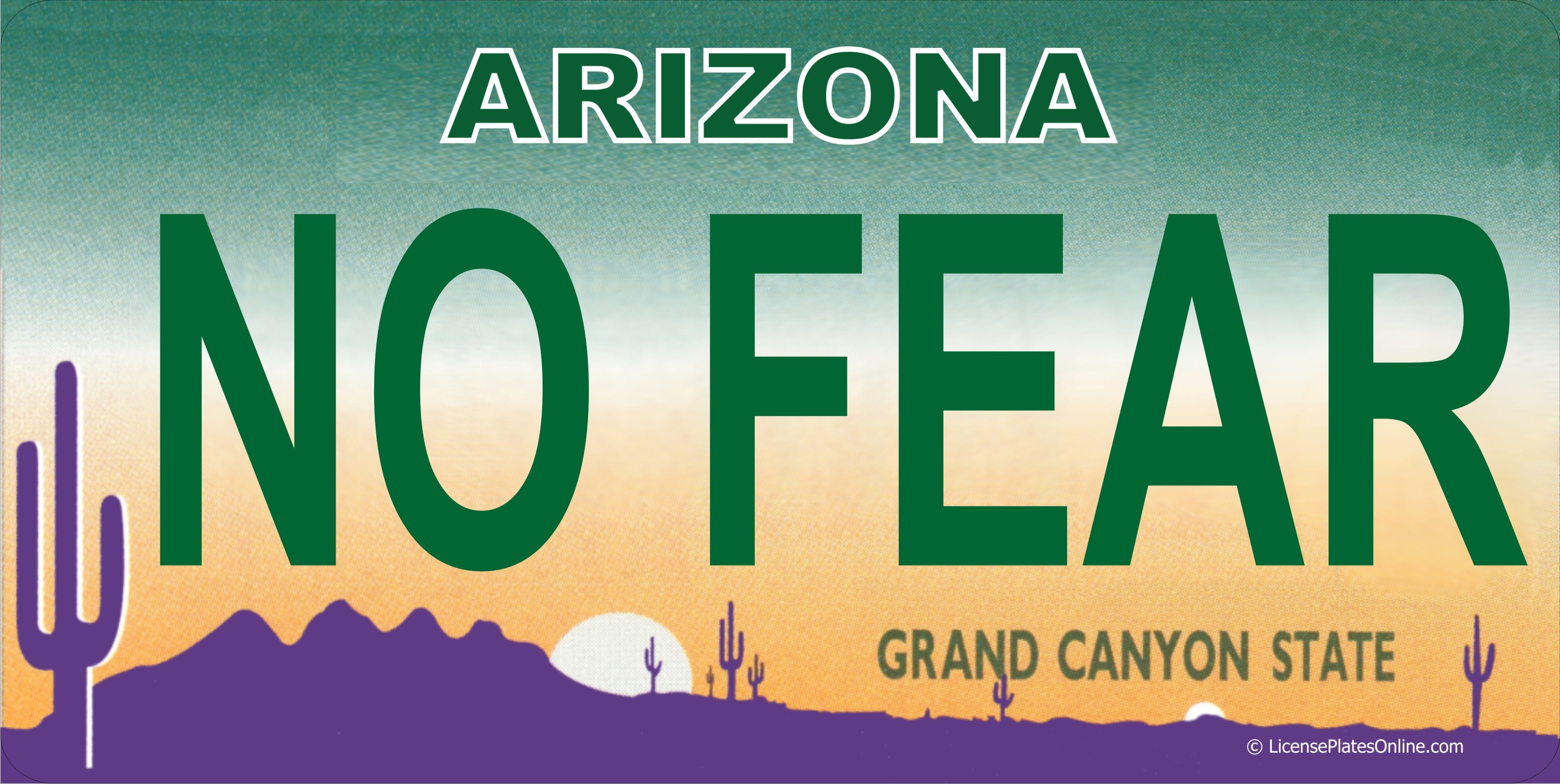 Arizona NO FEAR Photo License Plate – Auto License Plates Frames