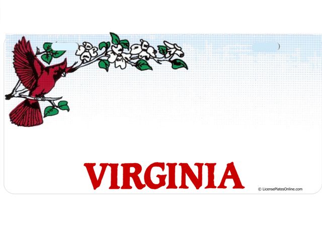 Virginia State Look A Like Photo License Plate – Auto License Plates Frames