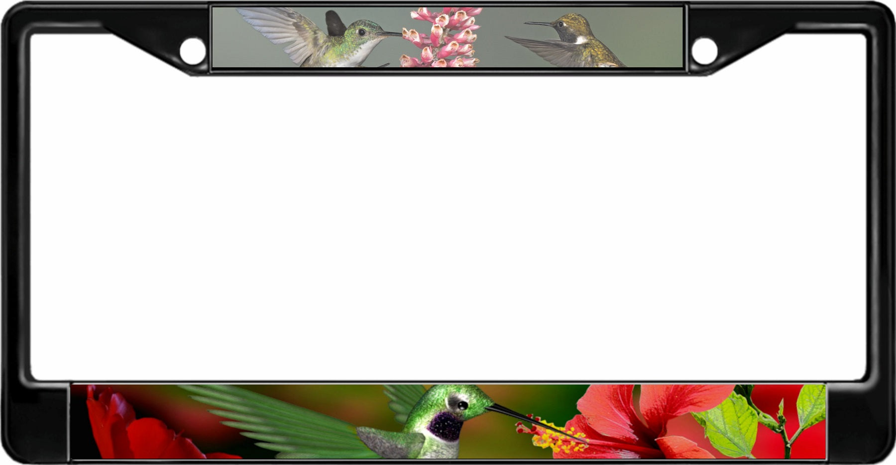 Hummingbirds Black License Plate Frame – Auto License Plates Frames