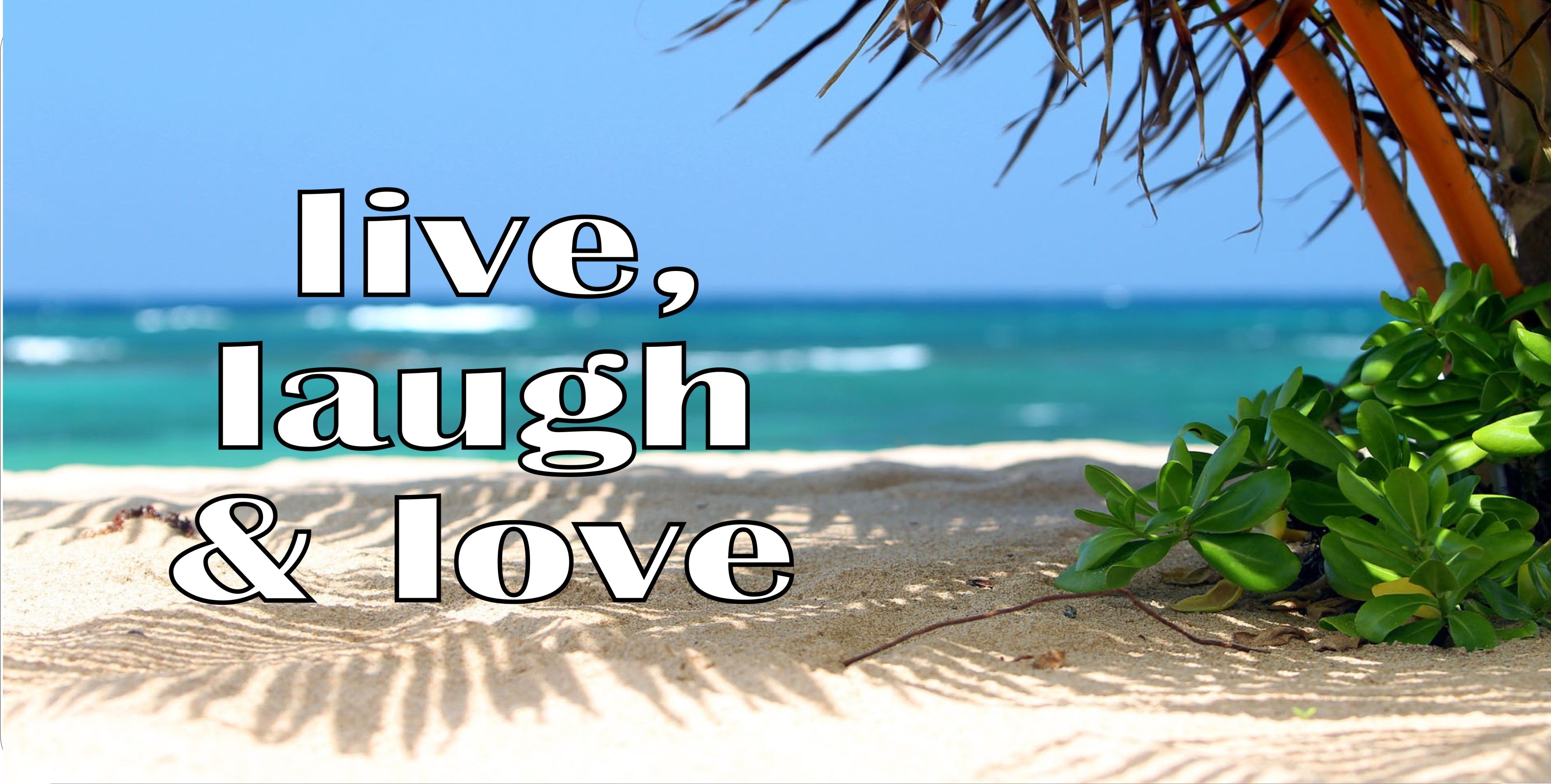 Live, Laugh And Love Beach Scene License Plate – Auto License Plates Frames