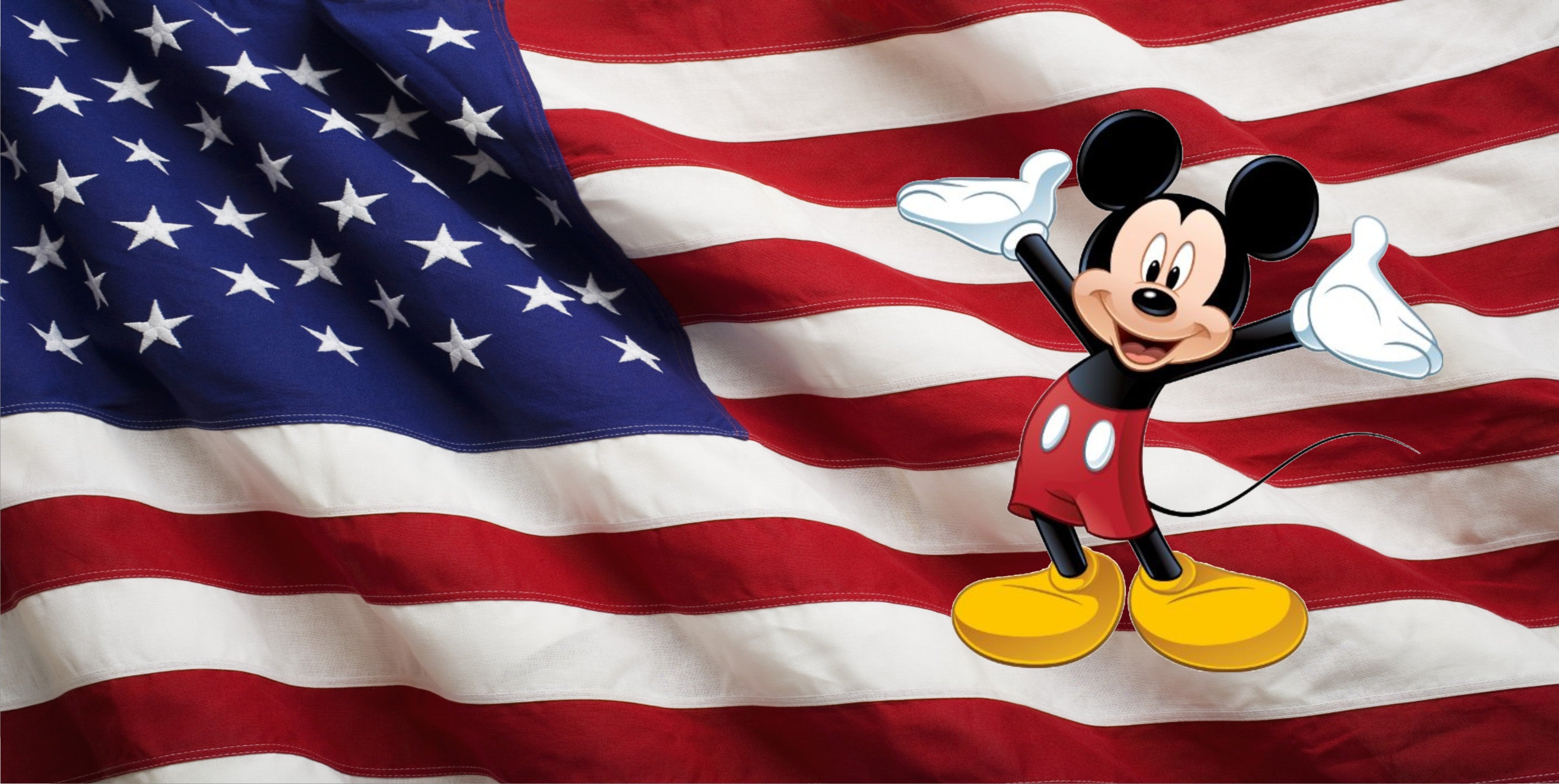 American Flag Mickey Mouse Photo License Plate – Auto License Plates Frames
