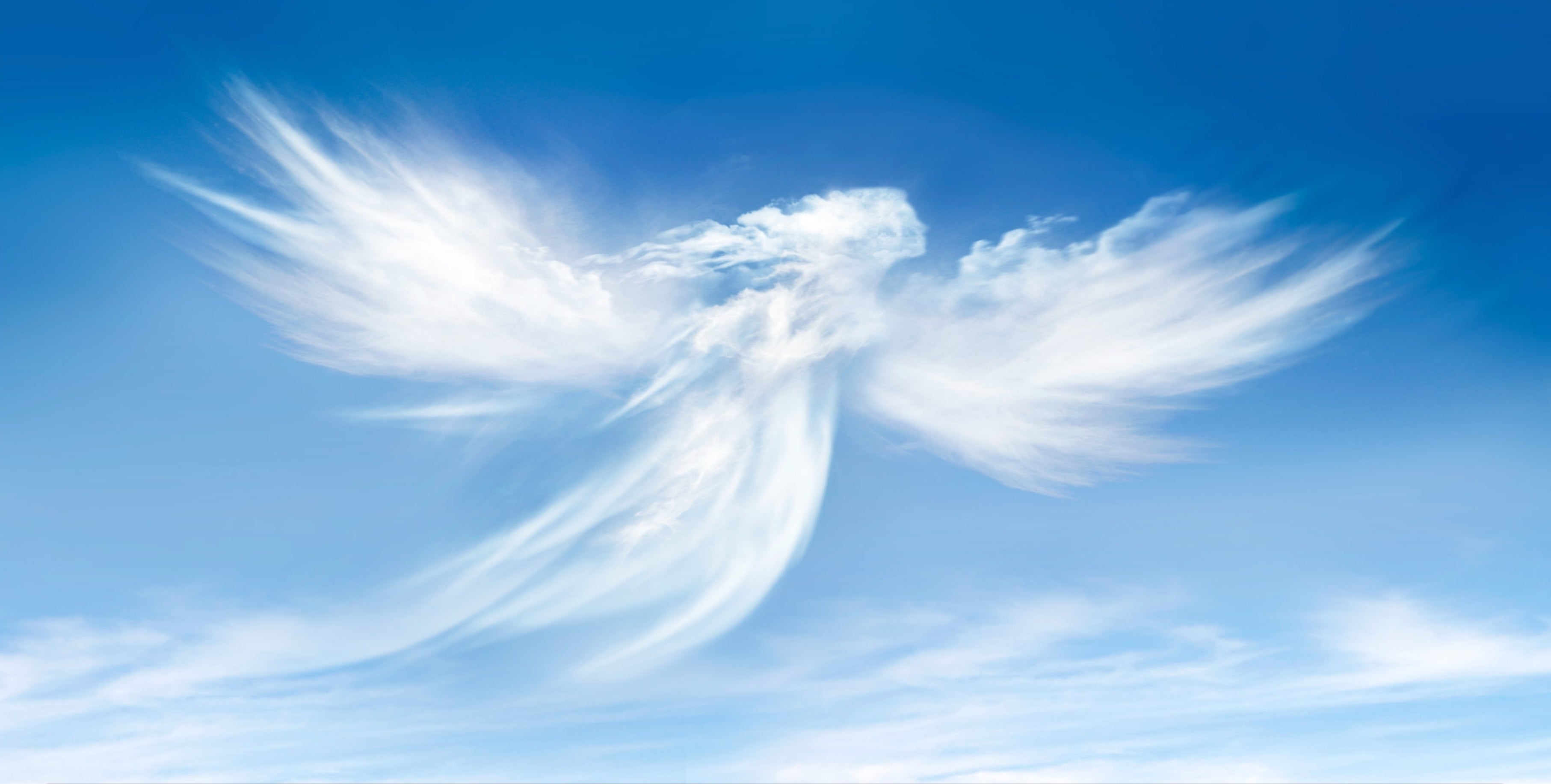 Angel Clouds Photo License Plate – Auto License Plates Frames