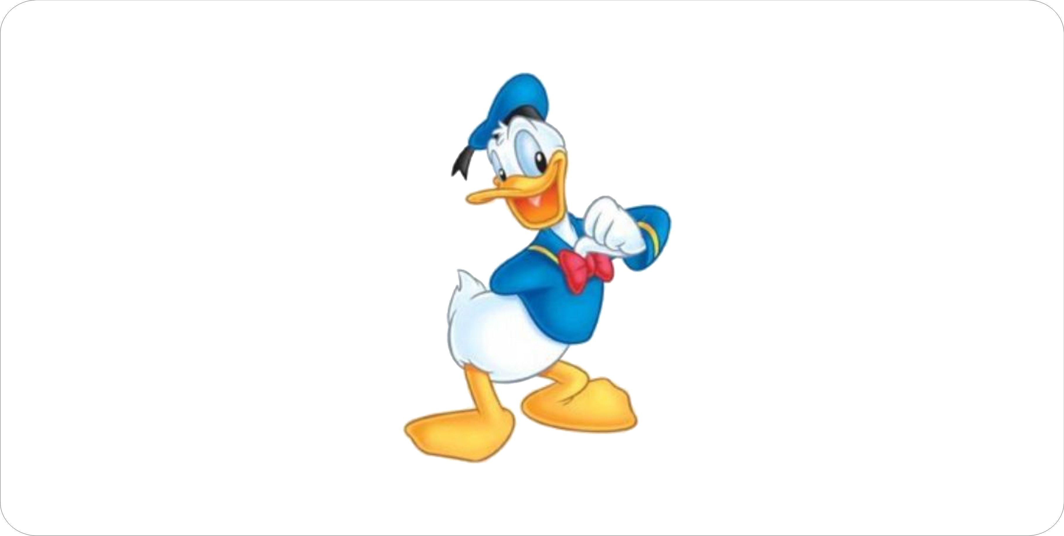 Donald Duck Photo on Center Metal License Plate – Auto License Plates ...