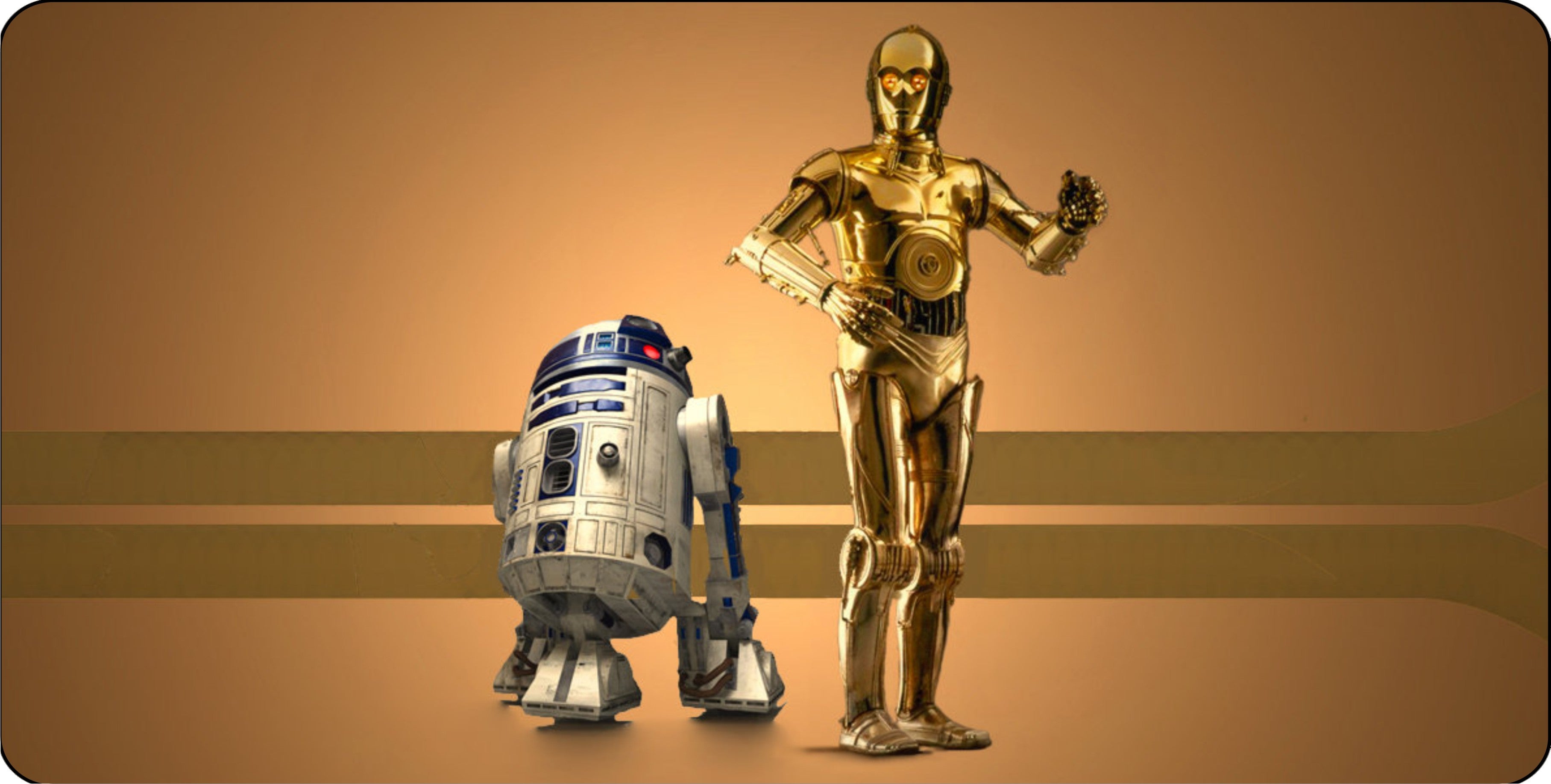 R2-D2 And C3PO Star Wars Photo License Plate – Auto License Plates Frames