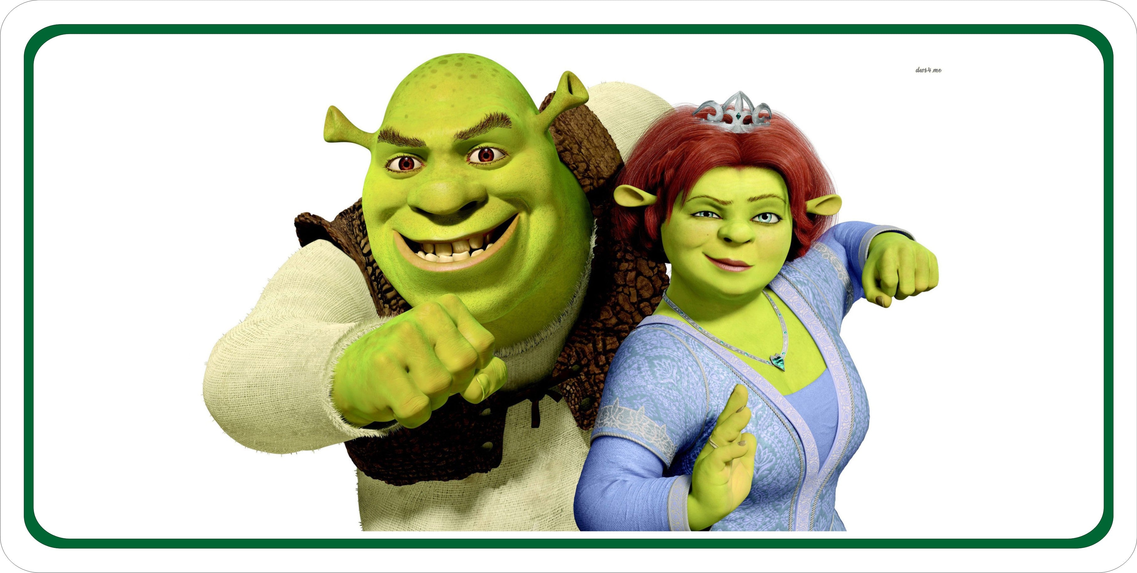 Shrek And Fiona Photo License Plate – Auto License Plates Frames