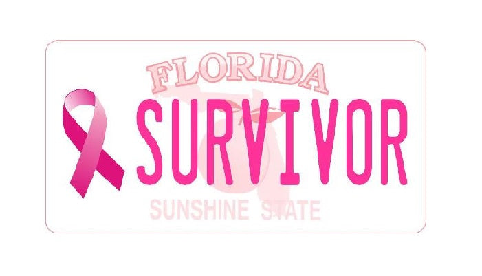 Florida Breast Cancer Survivor Photo License Plate – Auto License ...