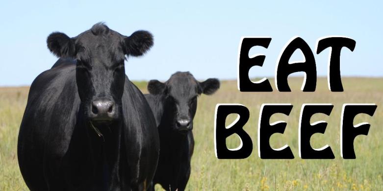 Eat Beef #3 Photo License Plate – Auto License Plates Frames