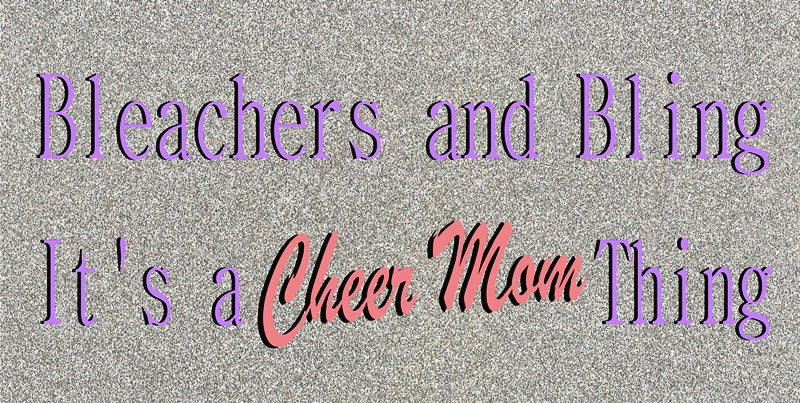 Cheer Mom #2 Photo License Plate – Auto License Plates Frames