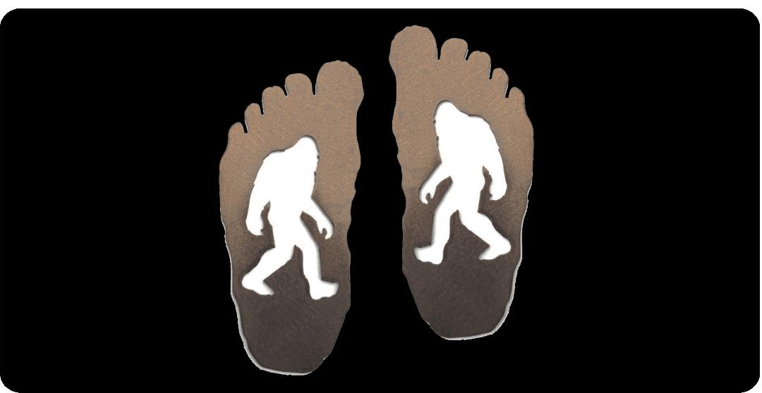 Bigfoot Shadow Footprints #2 Photo License Plate – Auto License Plates ...