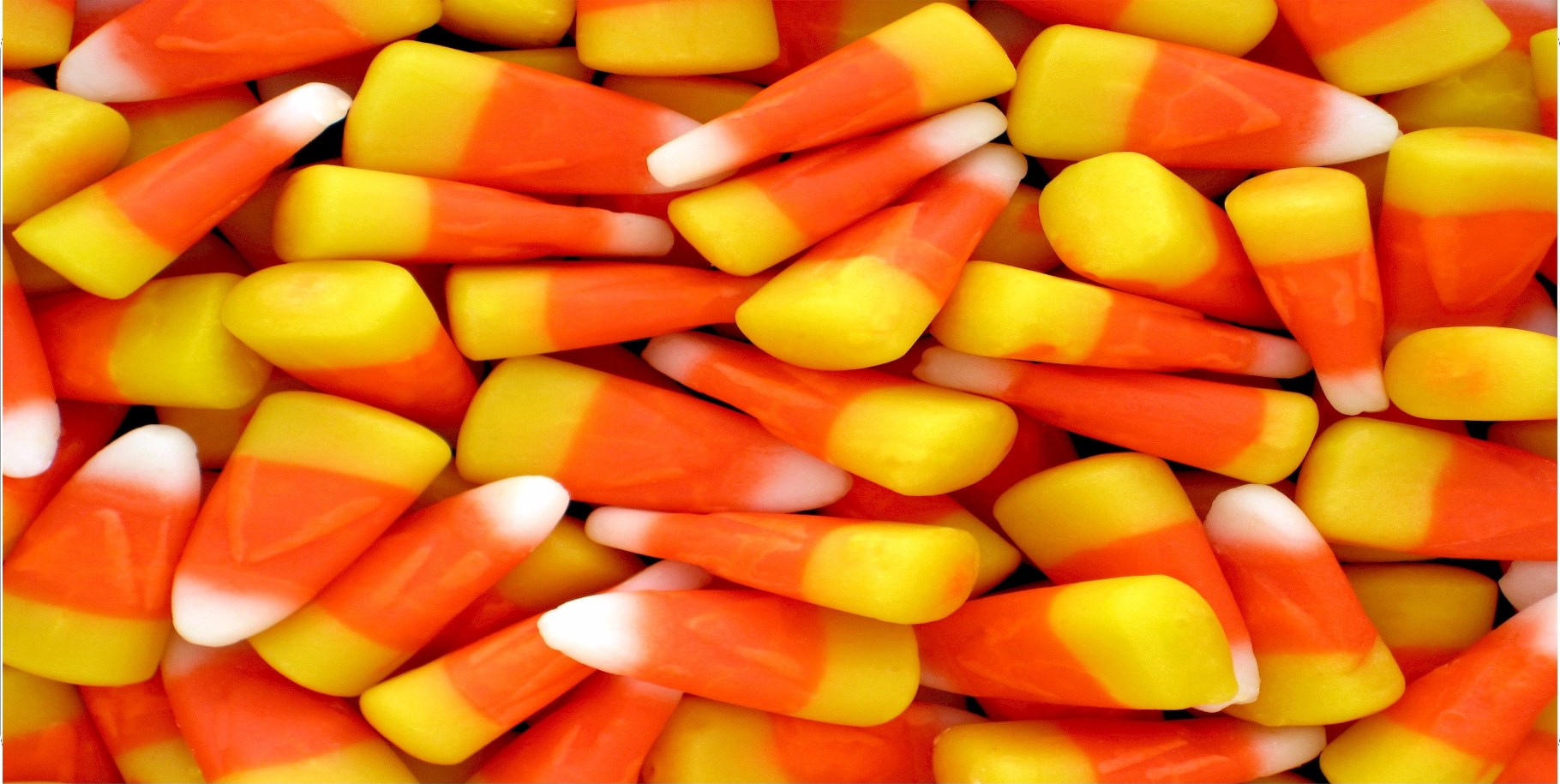 Candy Corn Plate Photo License Plate – Auto License Plates Frames