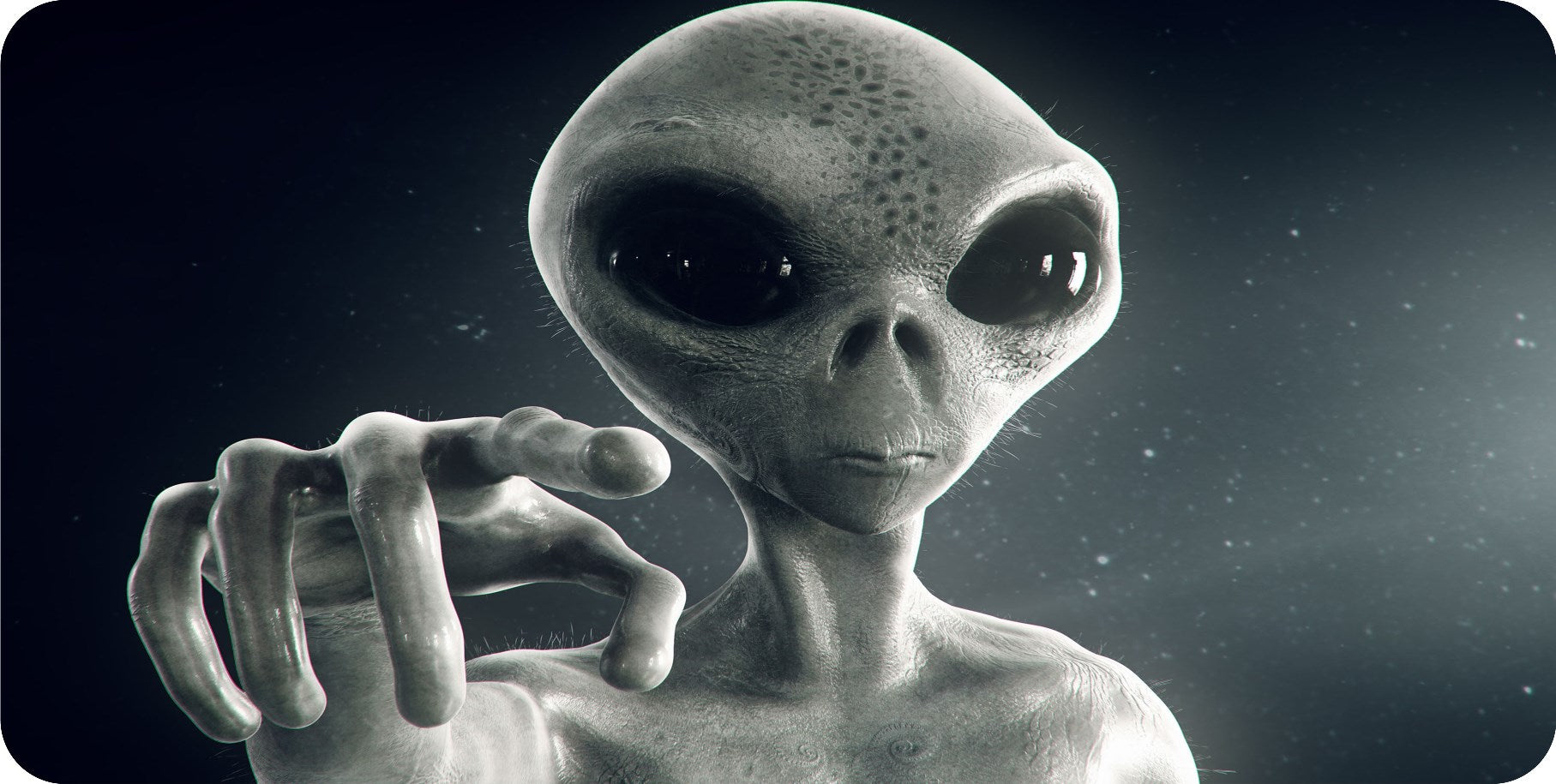 Alien Pointing Finger Photo License Plate – Auto License Plates Frames