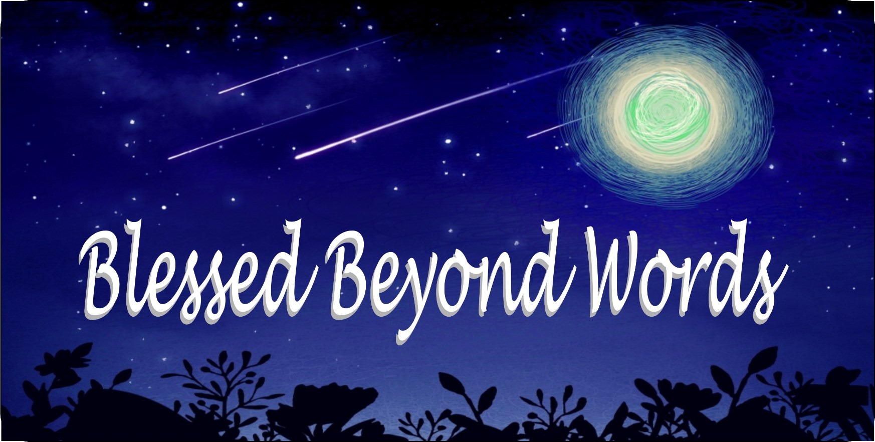 Blessed Beyond Words Photo License Plate – Auto License Plates Frames