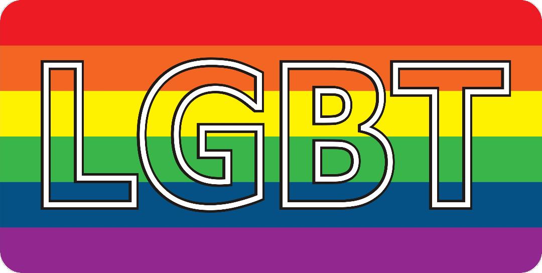 LGBT On Rainbow Photo License Plate – Auto License Plates Frames