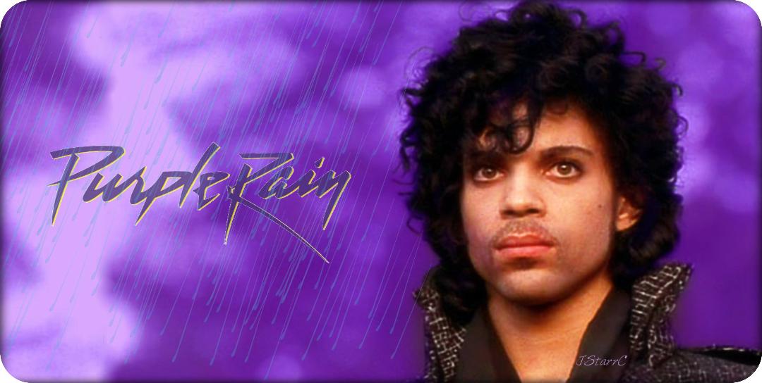 Prince Offset Purple Rain Photo License Plate – Auto License Plates Frames