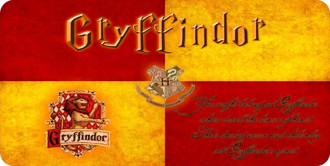 Harry Potter Gryffindor #2 Photo License Plate – Auto License Plates Frames