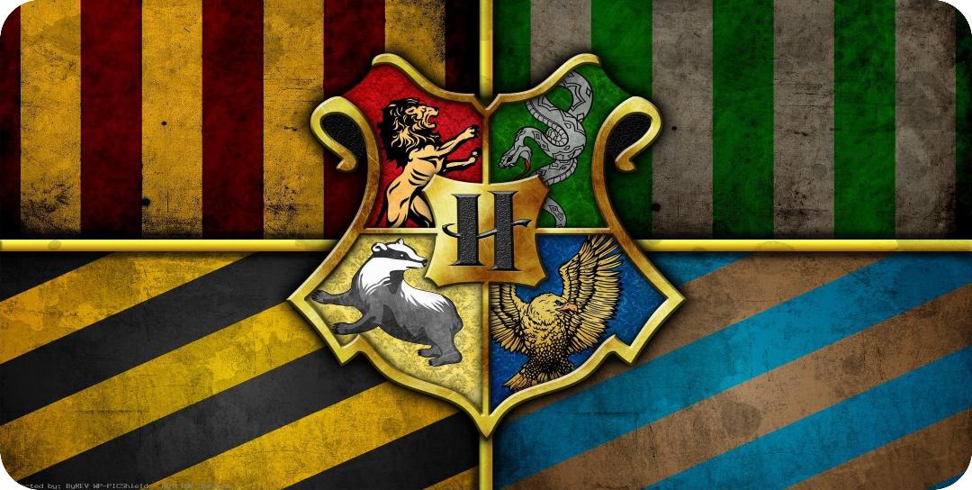 Harry Potter Hogwarts Houses Photo License Plate – Auto License Plates ...