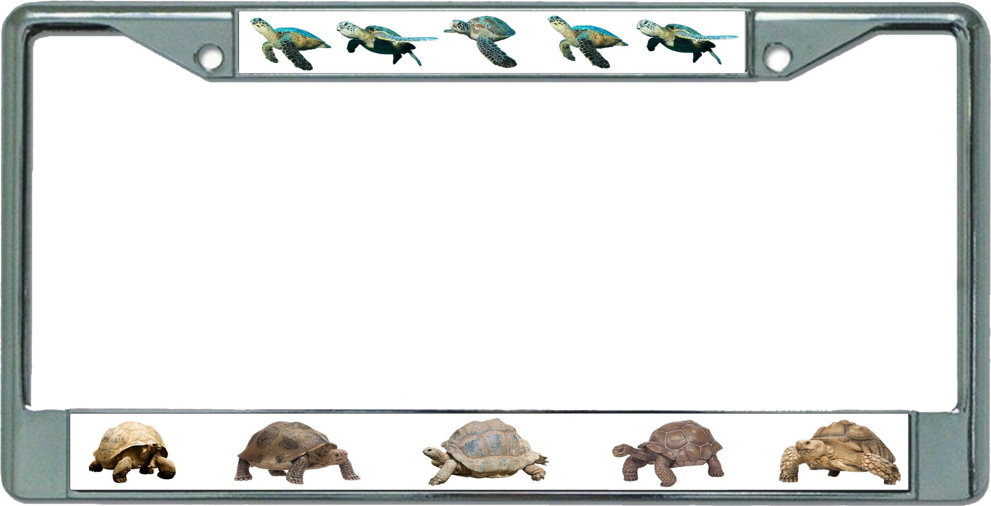 Tortoises And Sea Turtles Chrome License Plate Frame – Auto License ...