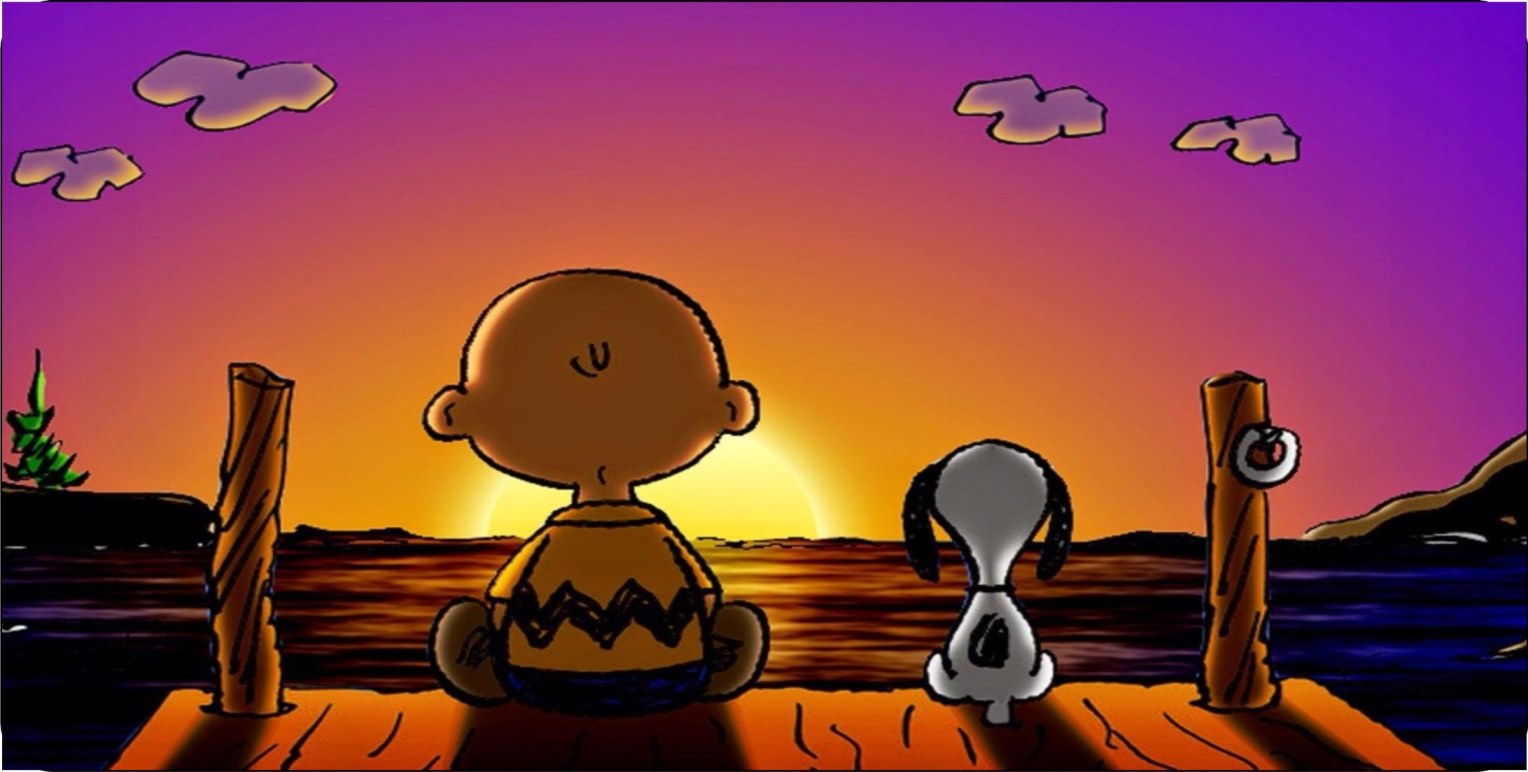 Charlie Brown And Snoopy Sunset Photo License Plate – Auto License ...