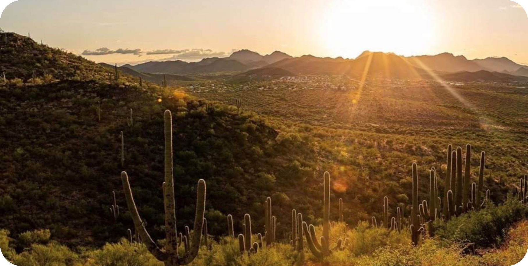 Arizona Mountains Sunset Photo License Plate – Auto License Plates Frames