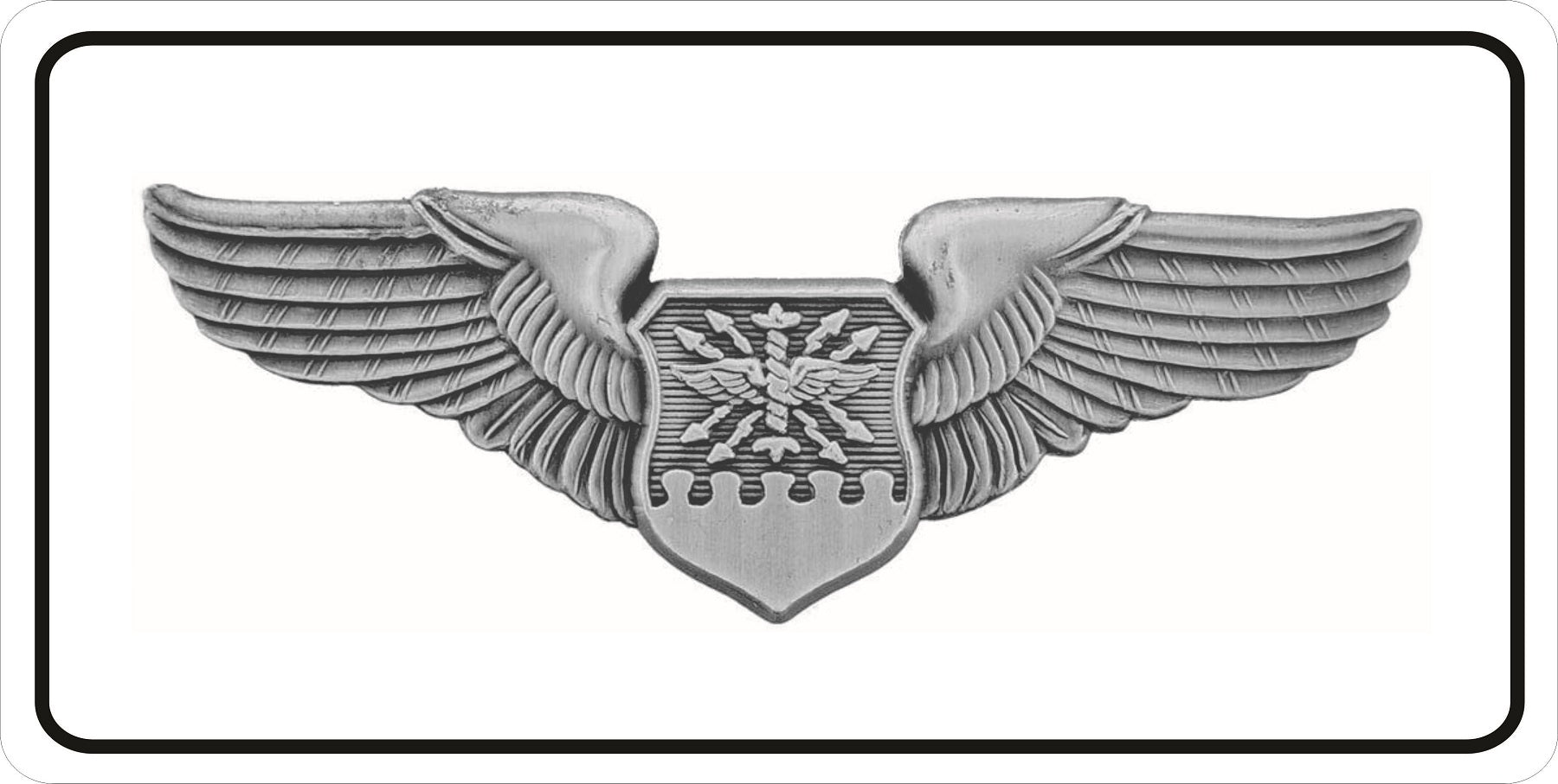U.S. Air Force Navigator Wings Photo License Plate – Auto License ...