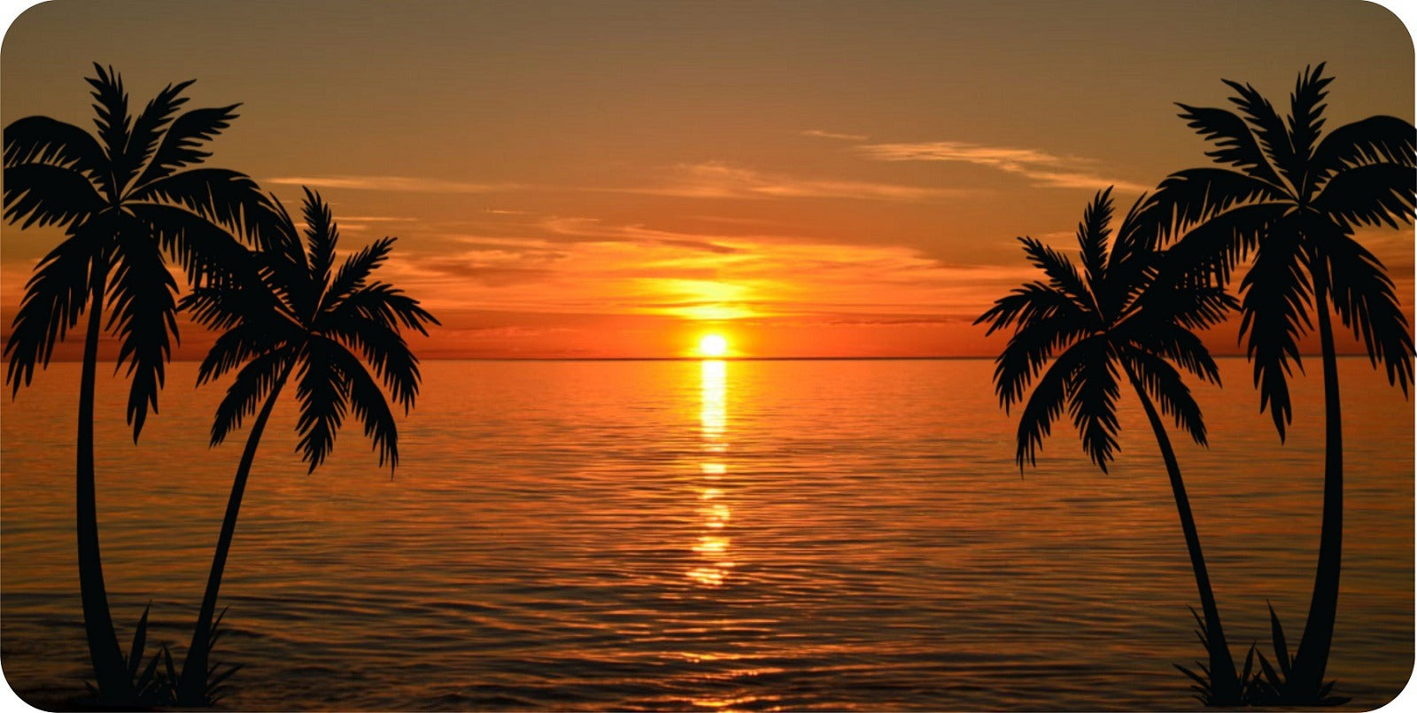 Orange Palm Tree Sunset Photo License Plate – Auto License Plates Frames