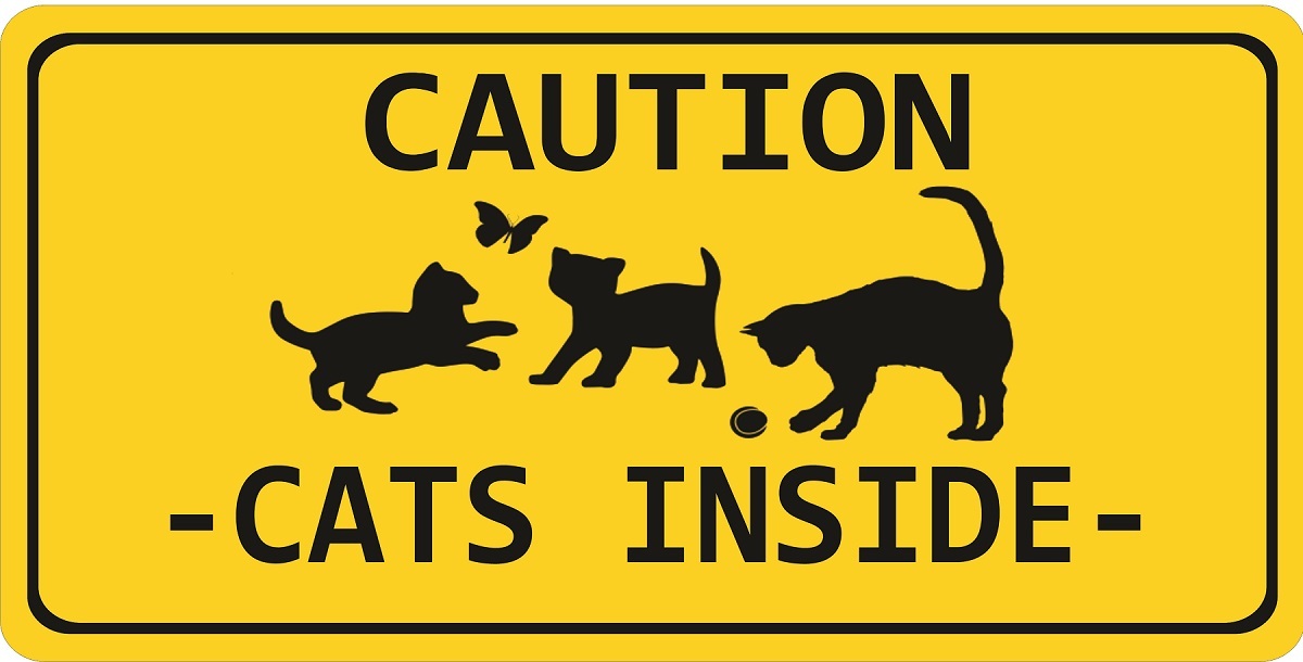 Caution Cats Inside Photo License Plate – Auto License Plates Frames