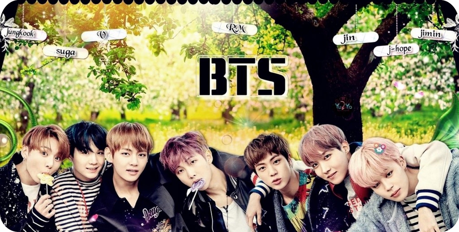 BTS #3 K-Pop Photo License Plate – Auto License Plates Frames