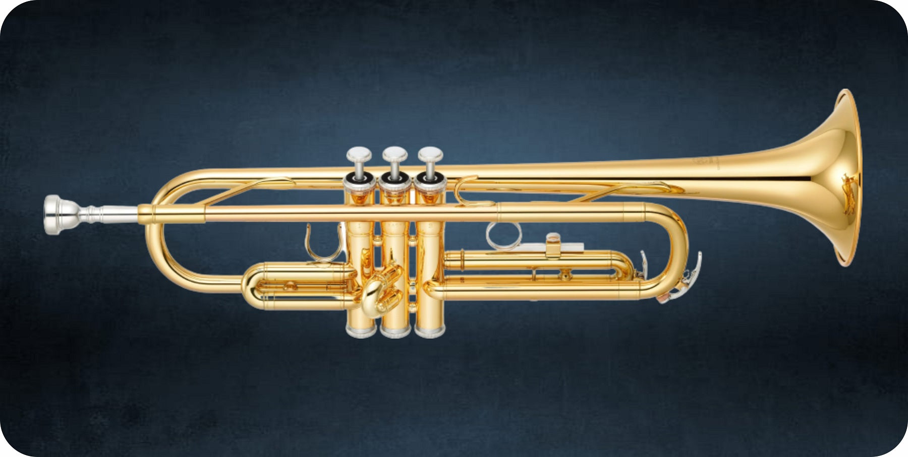 Trumpet Centered Photo License Plate – Auto License Plates Frames