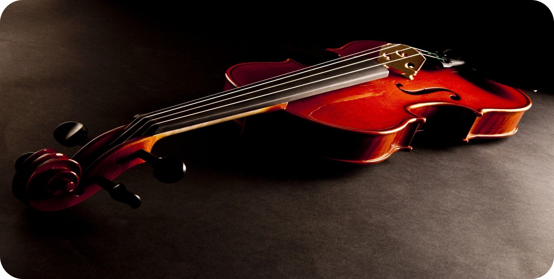 Violin Centered Photo License Plate – Auto License Plates Frames