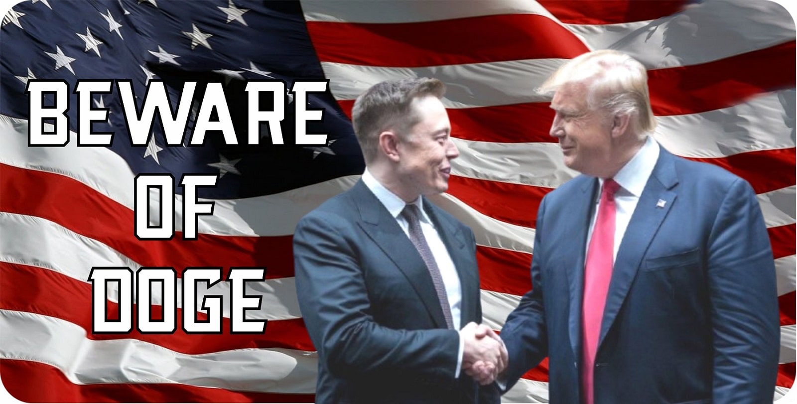 Beware Of Doge Trump Elon Photo License Plate – Auto License Plates Frames