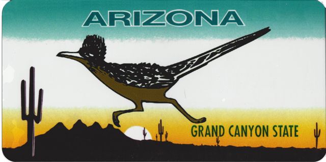 Arizona Roadrunner Photo License Plate – Auto License Plates Frames