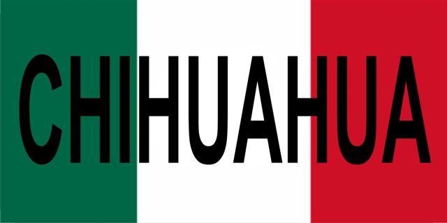Mexico Chihuahua Photo License Plate – Auto License Plates Frames