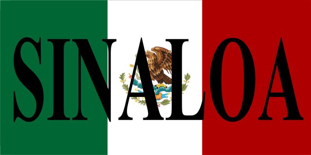 Mexico Sinaloa Photo License Plate – Auto License Plates Frames