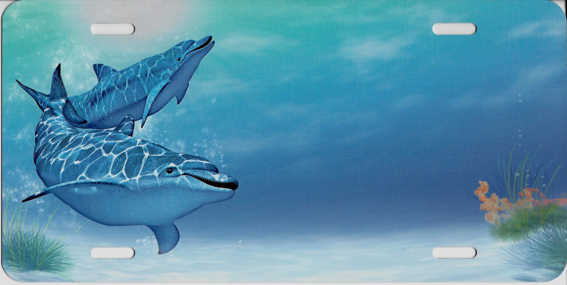 Offset Dolphins Ocean Scene License Plate – Auto License Plates Frames