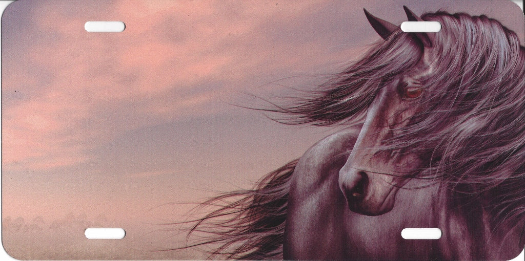 Offset Horse License Plate – Auto License Plates Frames