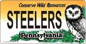 Design It Yourself Custom Pennsylvania State Look-Alike Plate – Auto ...