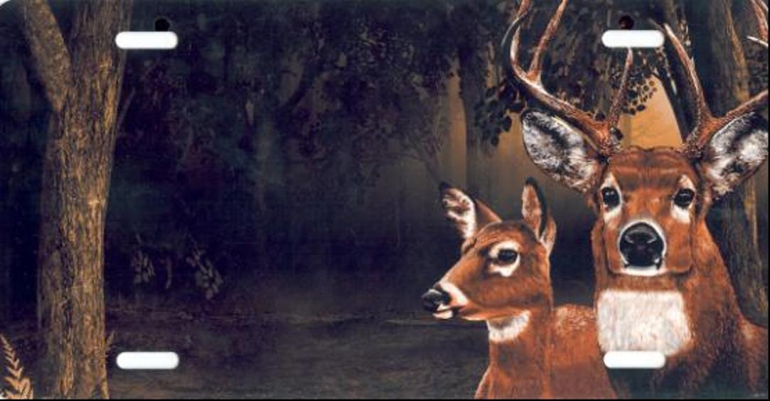 Offset Deer and Buck in Woods License Plate – Auto License Plates Frames